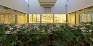 目标 Purpose – ARTEXB